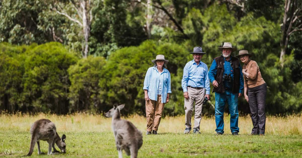 Wildlife Walking Tour from Canberra - Klook
